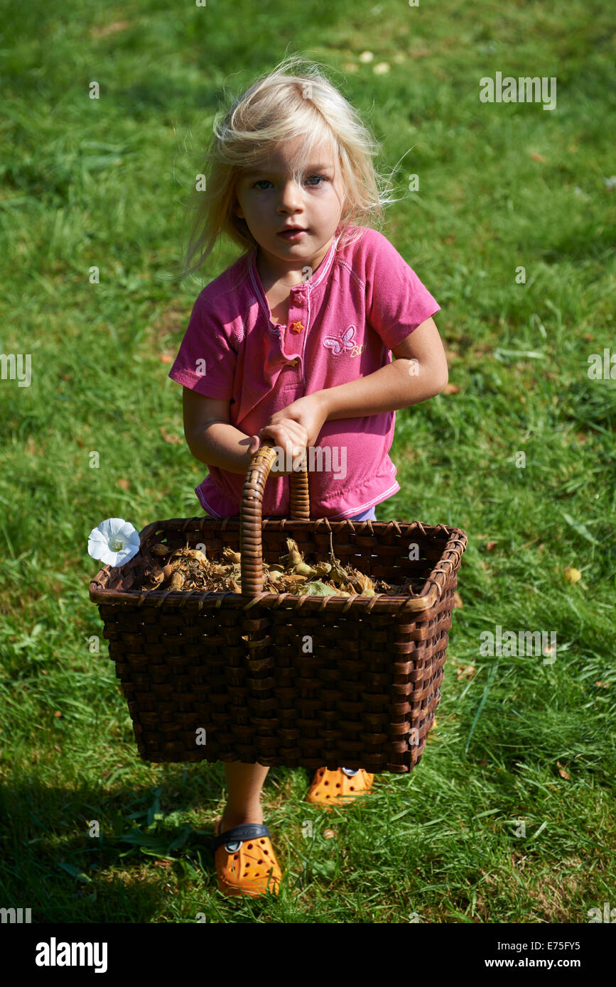 Children gathering nuts hi-res stock photography and images - Alamy