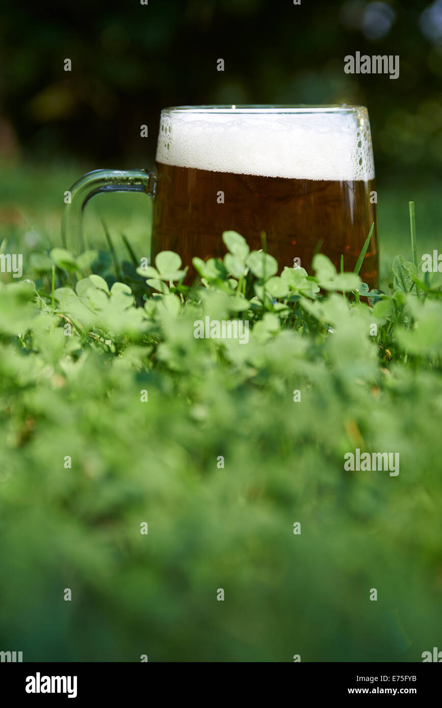 Beer grass hi-res stock photography and images - Alamy