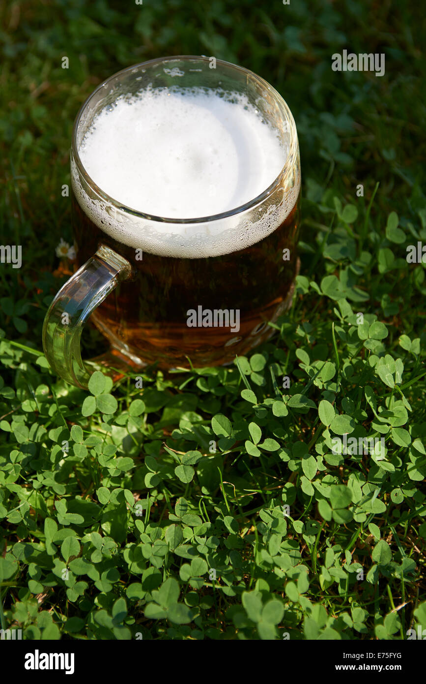 Mug of fresh lager beer on green grass lawn Stock Photo - Alamy