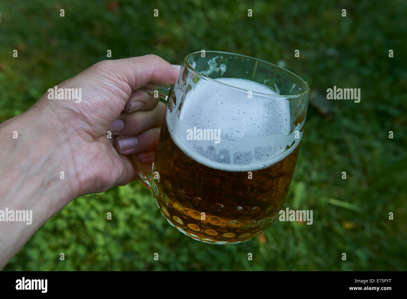 hand hold glass of lager beer with green lawn grass background, cheers ...