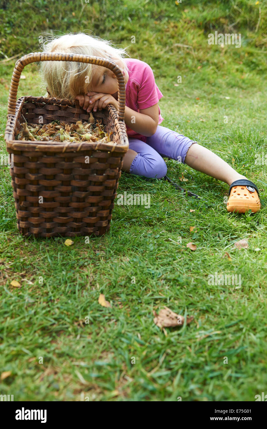 Child blond girl gathering hazelnuts in wooden basket, garden Stock ...