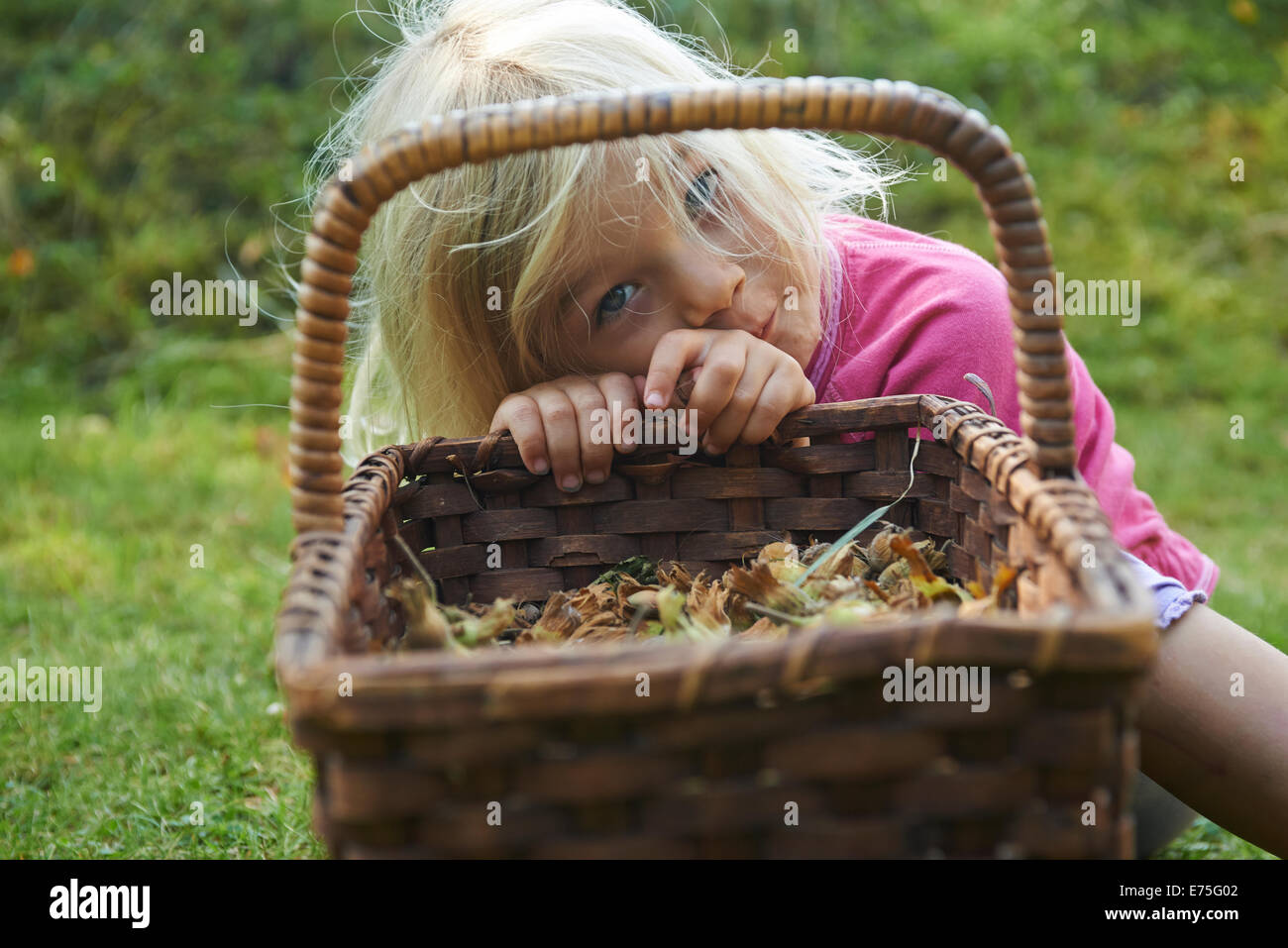 Child blond girl gathering hazelnuts in wooden basket, garden Stock ...