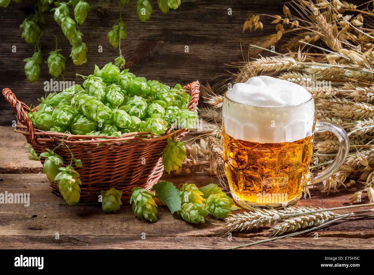 Small beer with a large foam Stock Photo - Alamy