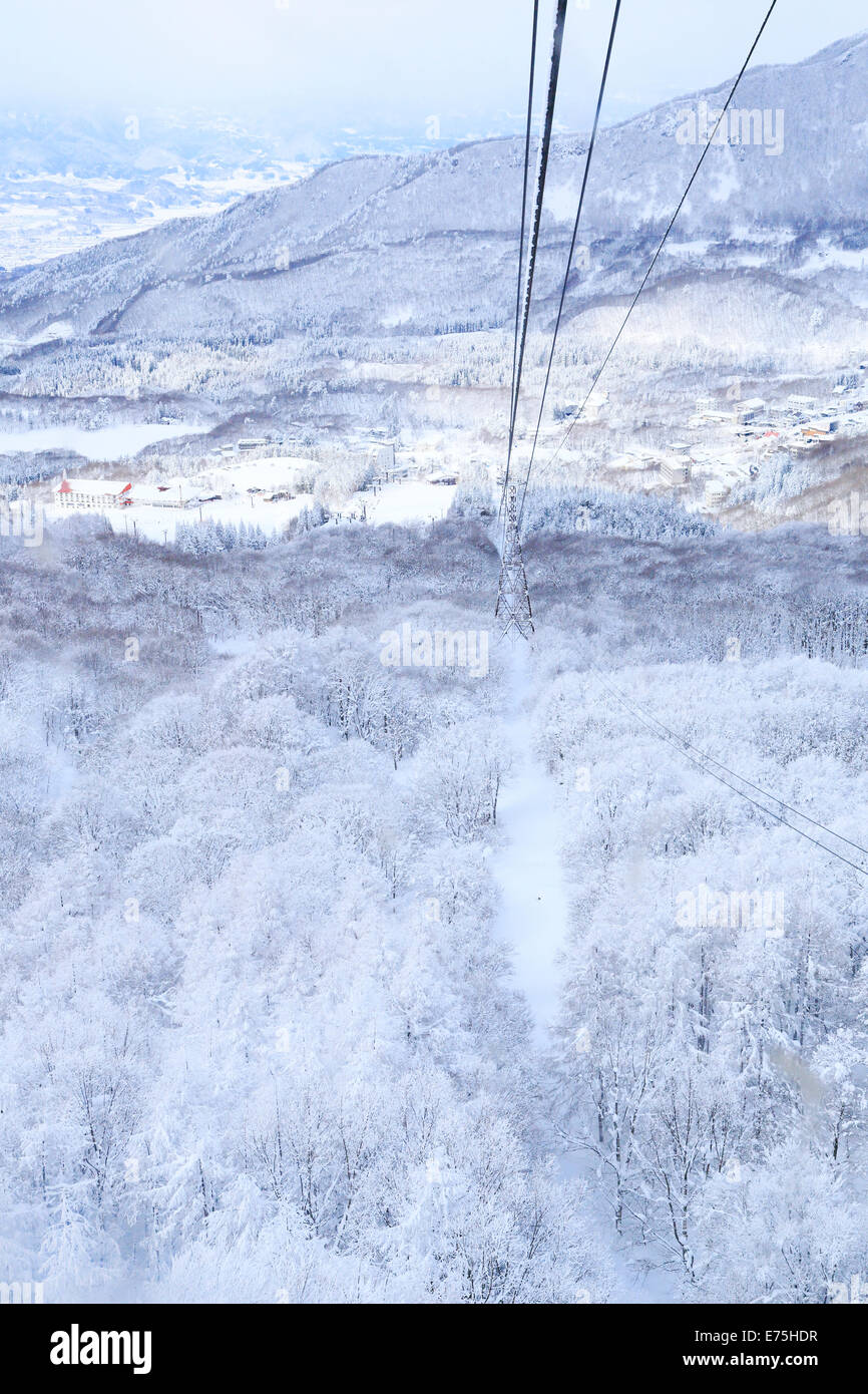 An Image of Soft Rime Stock Photo - Alamy