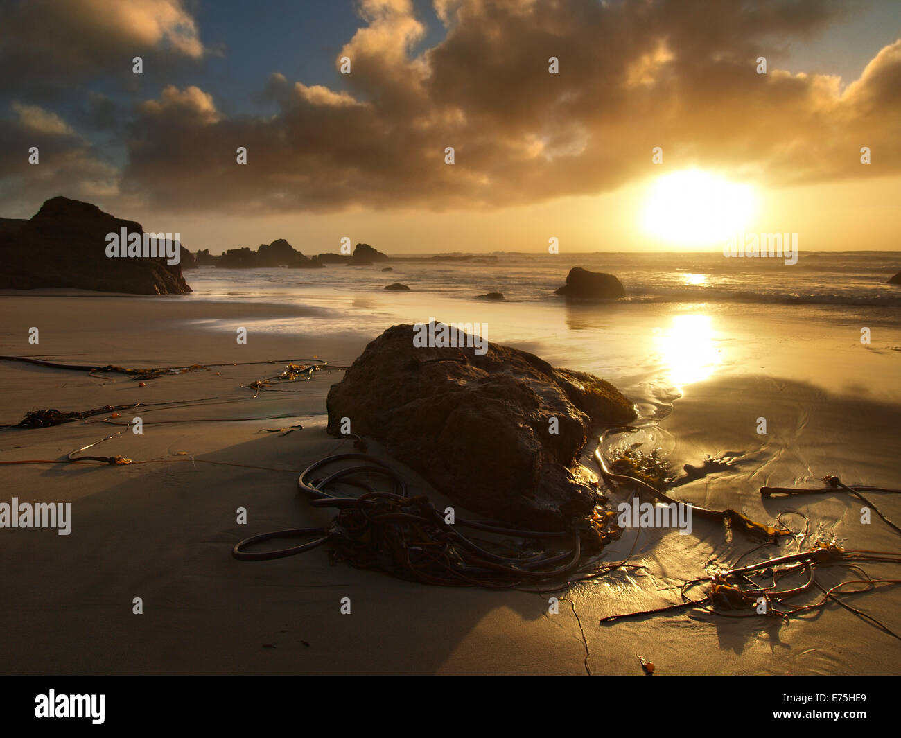 Ft bragg california hi-res stock photography and images - Alamy