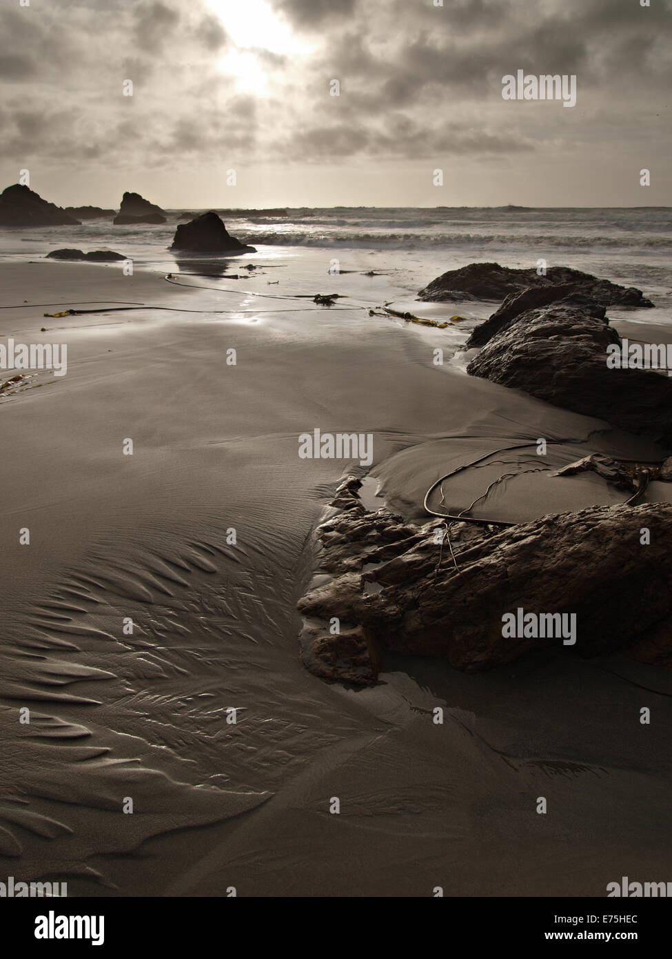 Ft bragg california hi-res stock photography and images - Alamy