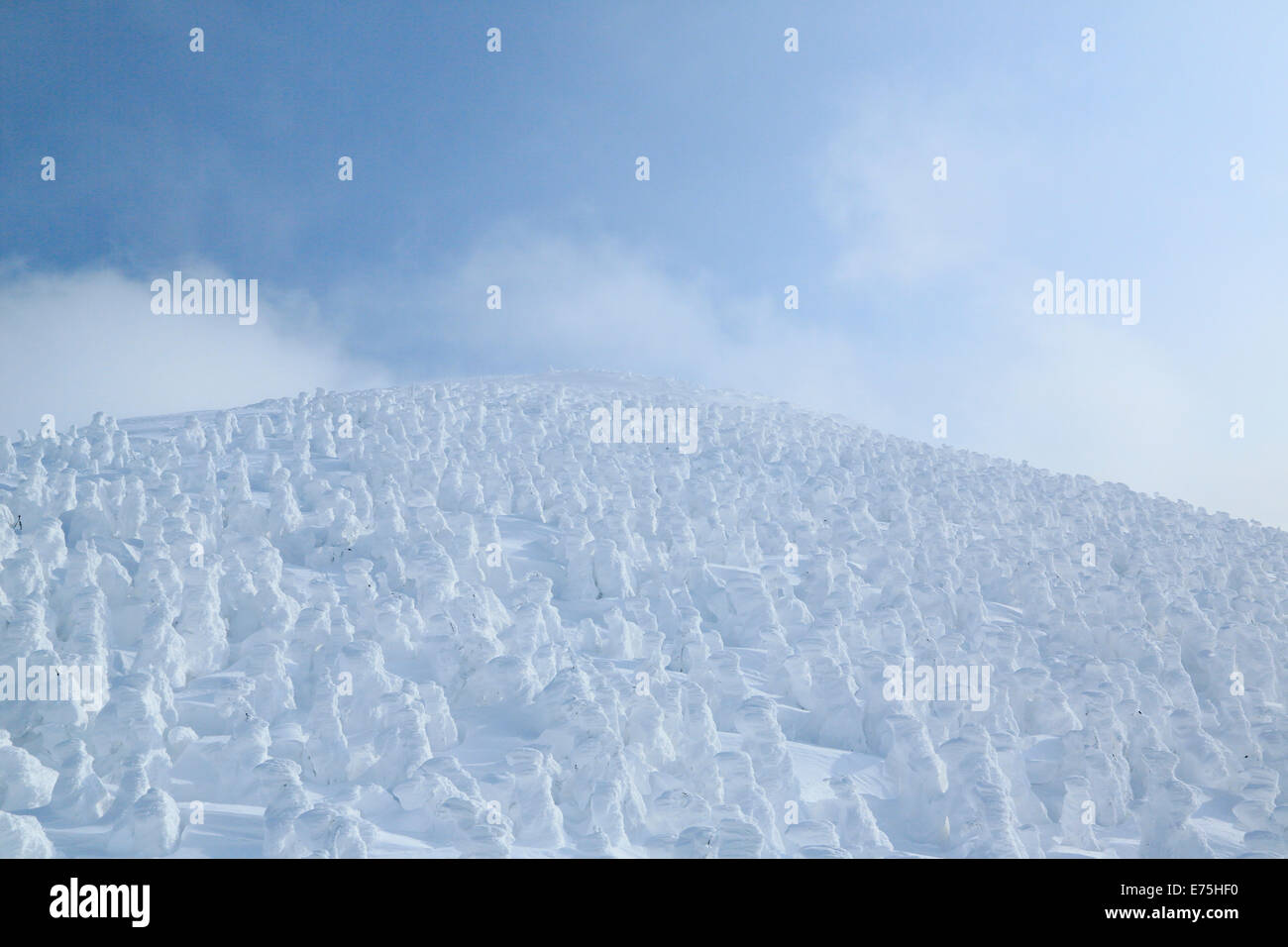 Snow monster on mount Zaou, Yamagata ,Tohoku ,Japan Stock Photo - Alamy
