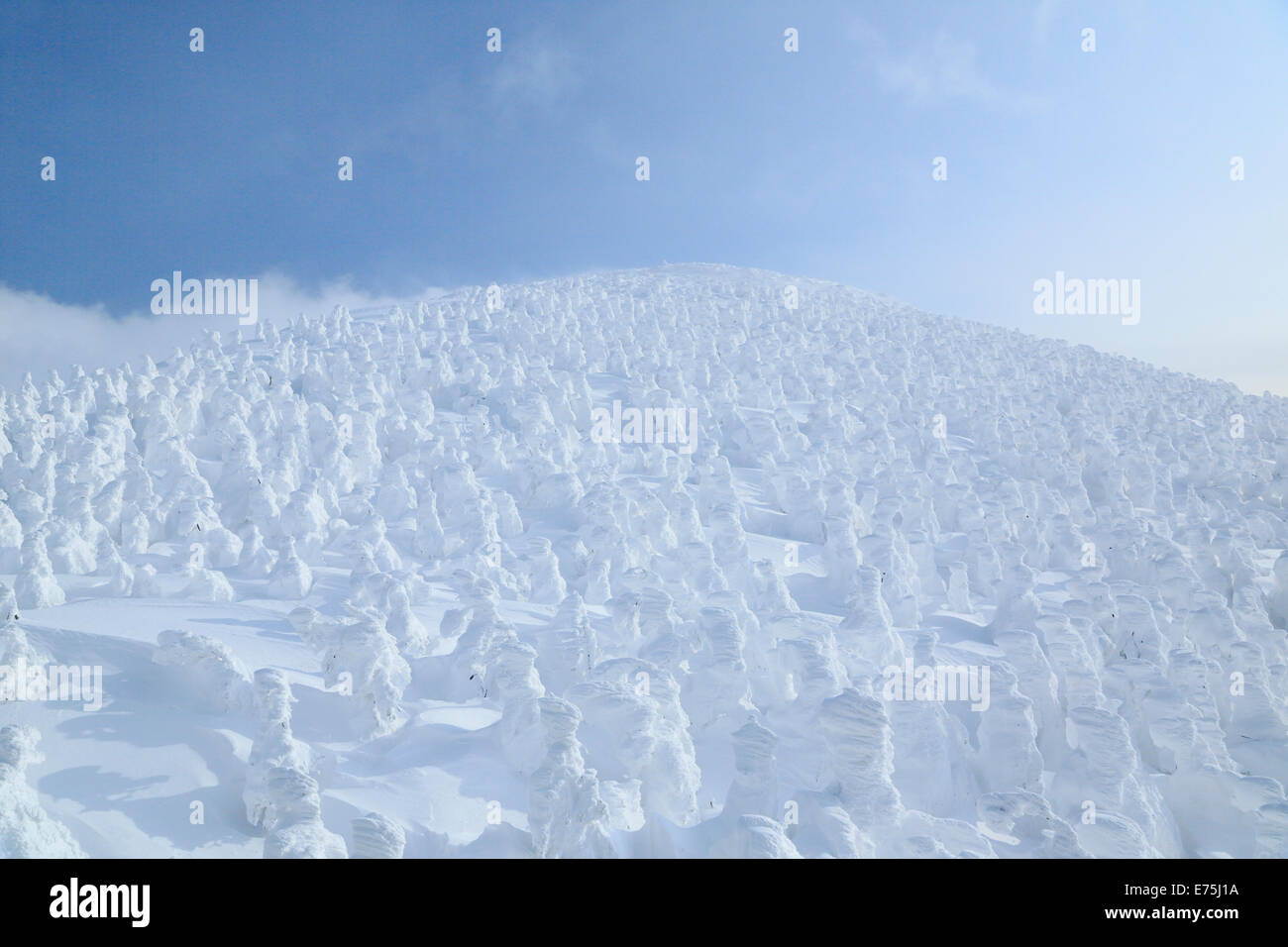 Zaou High Resolution Stock Photography and Images - Alamy