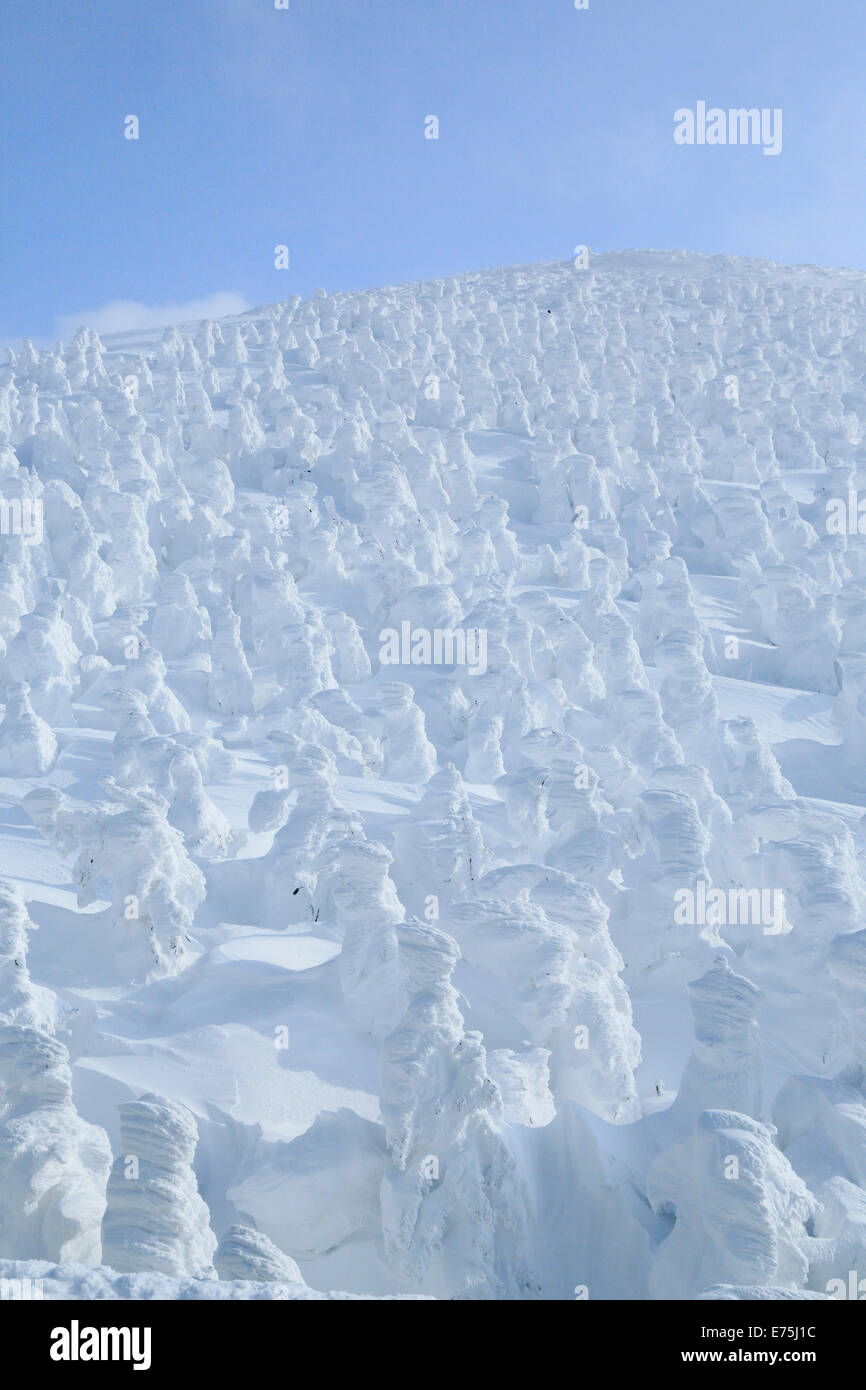 Zaou hi-res stock photography and images - Alamy