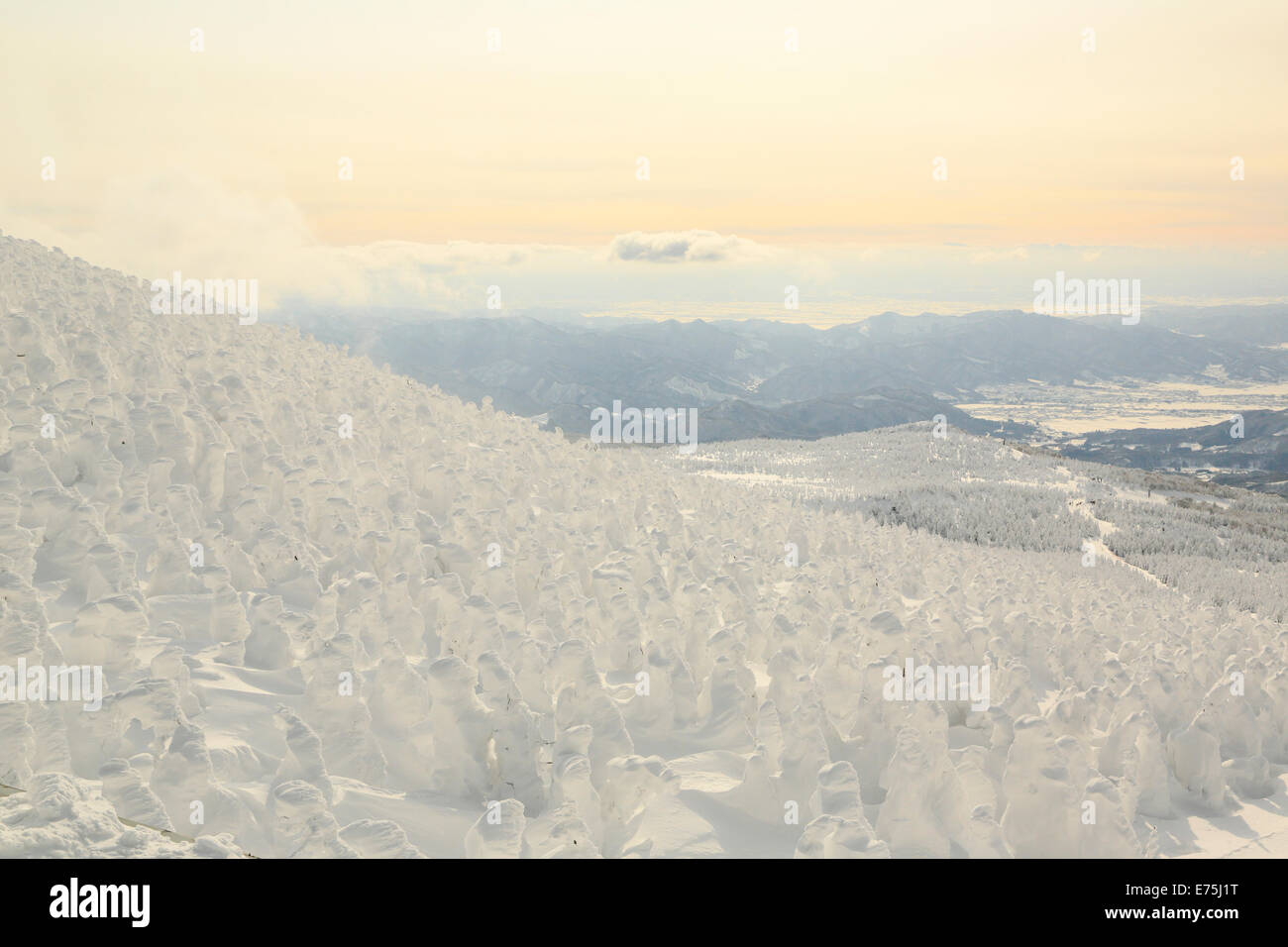 Soft Rime in Zao,Yamagata prefecture, Japan Stock Photo - Alamy