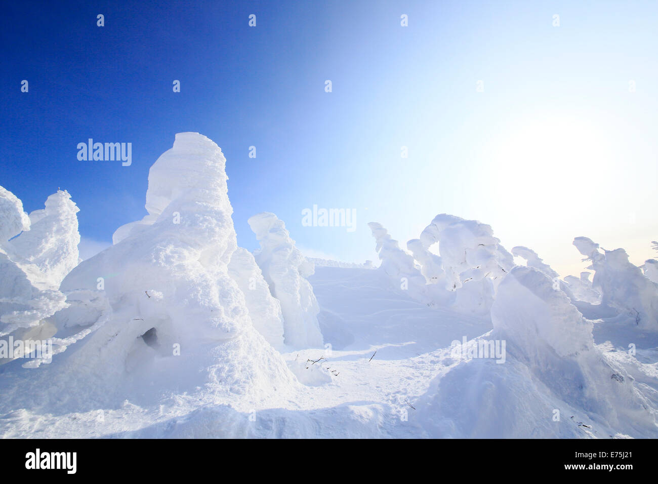 Zaou High Resolution Stock Photography and Images - Alamy