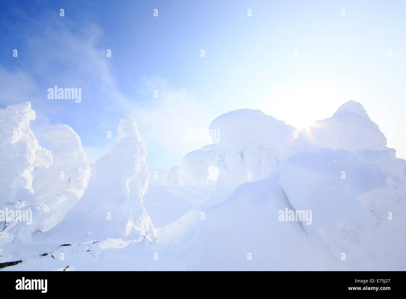 Snow monster on mount Zaou, Yamagata ,Tohoku ,Japan Stock Photo - Alamy