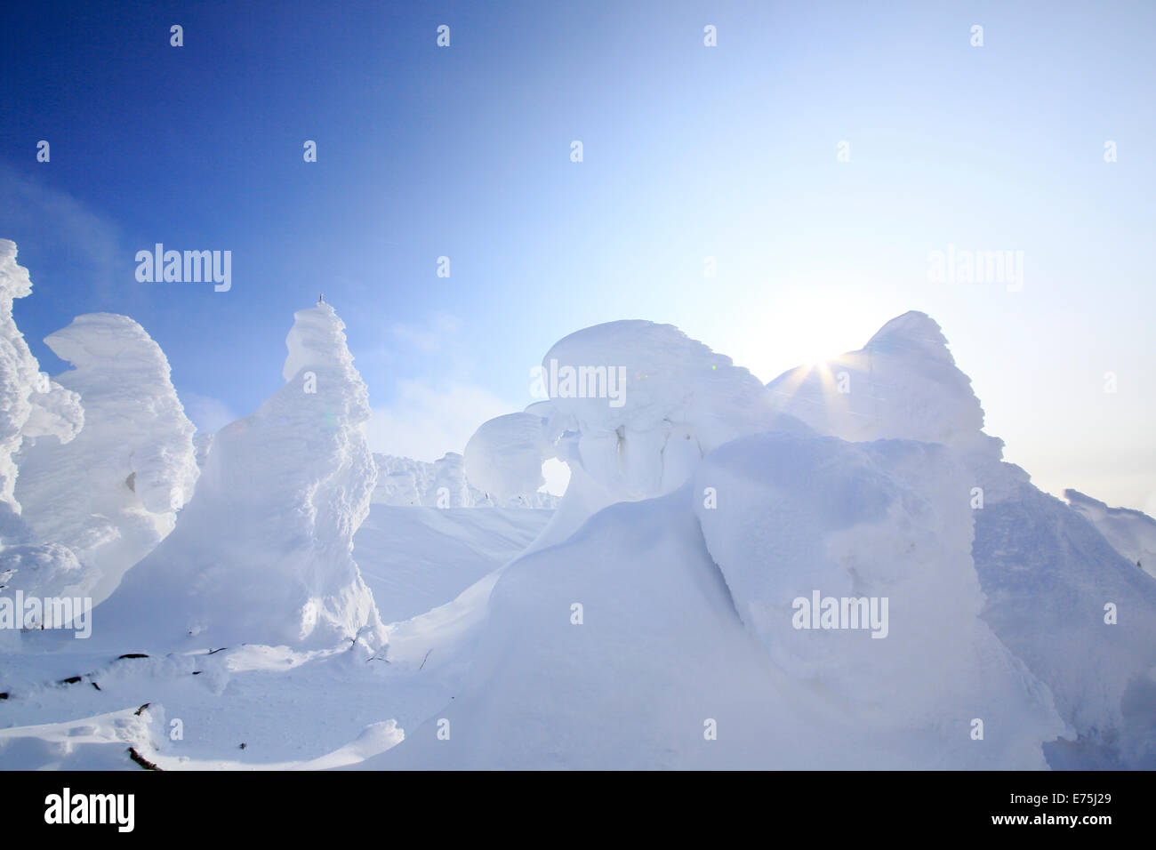 Snow monster on mount Zaou, Yamagata ,Tohoku ,Japan Stock Photo - Alamy