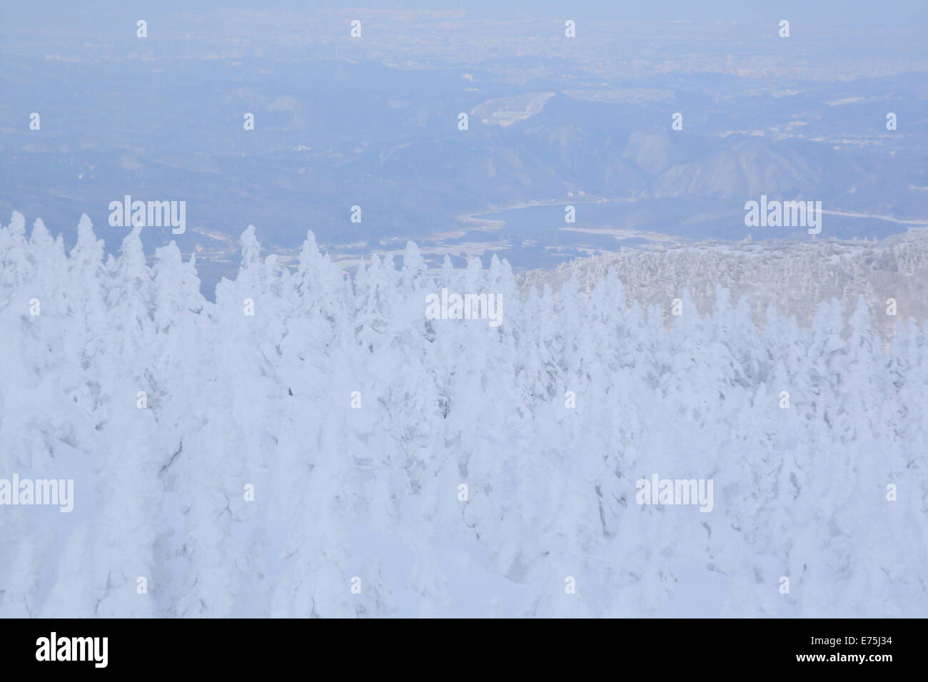 Snow monster on mount Zaou, Yamagata ,Tohoku ,Japan Stock Photo - Alamy
