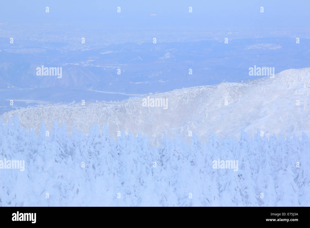 Zaou High Resolution Stock Photography and Images - Alamy