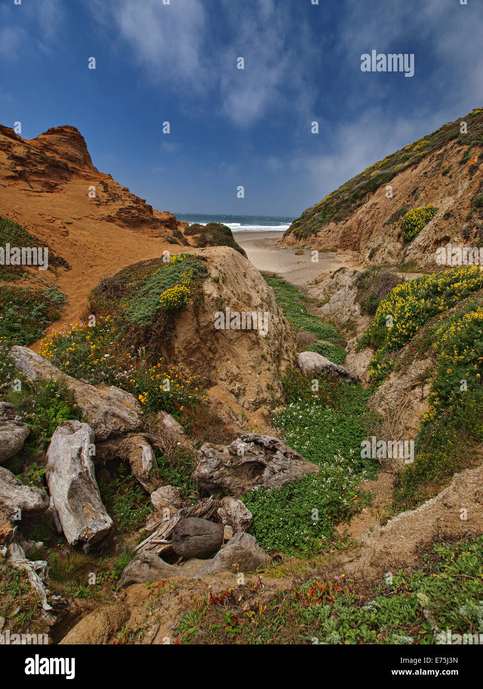 Point Reyes Northern California Coast Stock Photo - Alamy