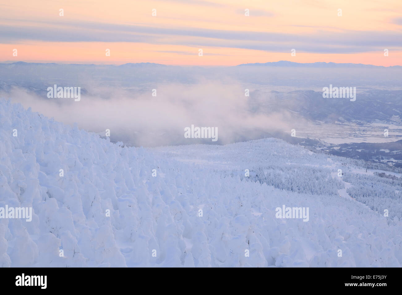 Soft Rime in Zao,Yamagata prefecture, Japan Stock Photo - Alamy