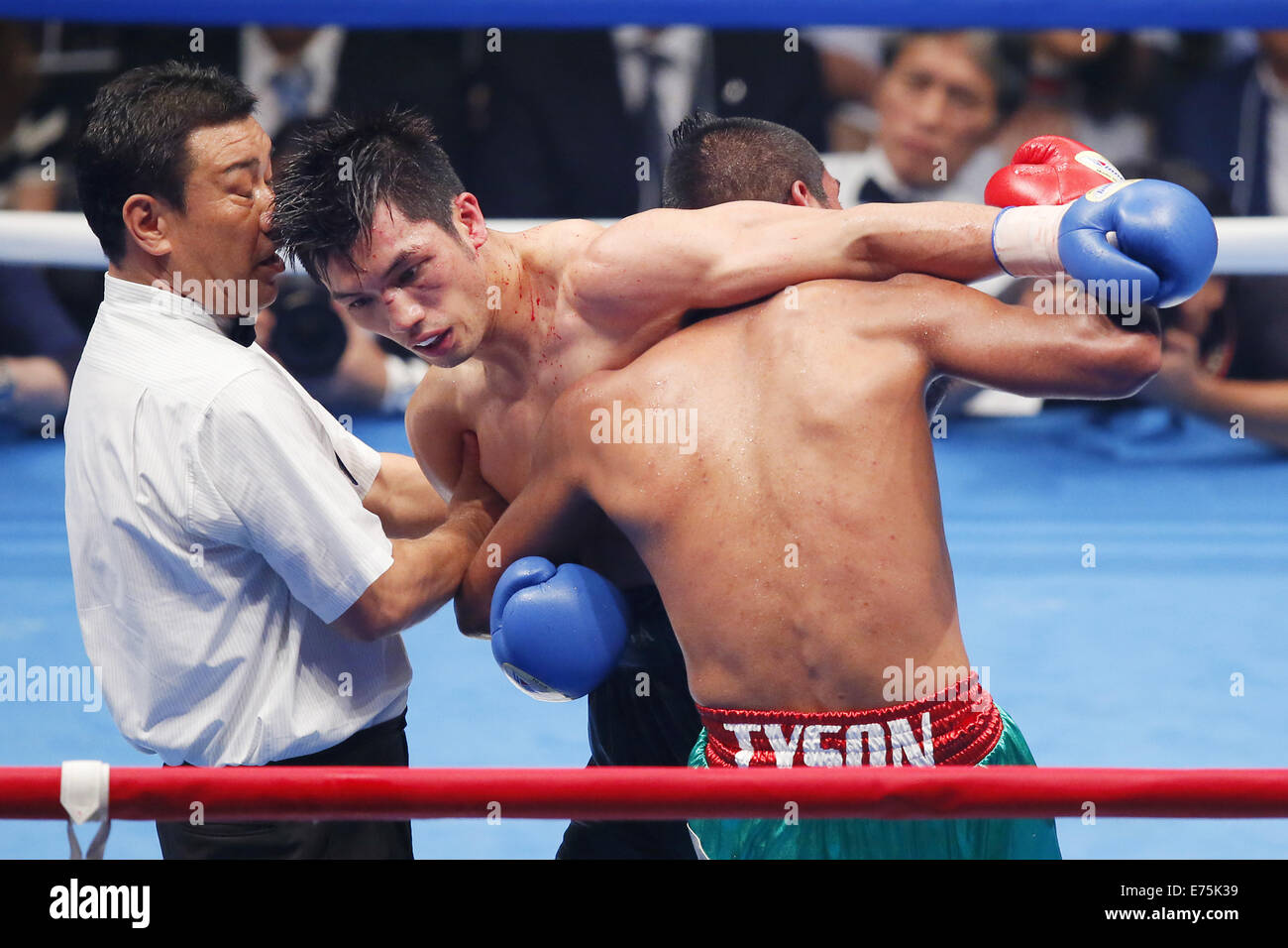 Yumi Sugimoto Boxing