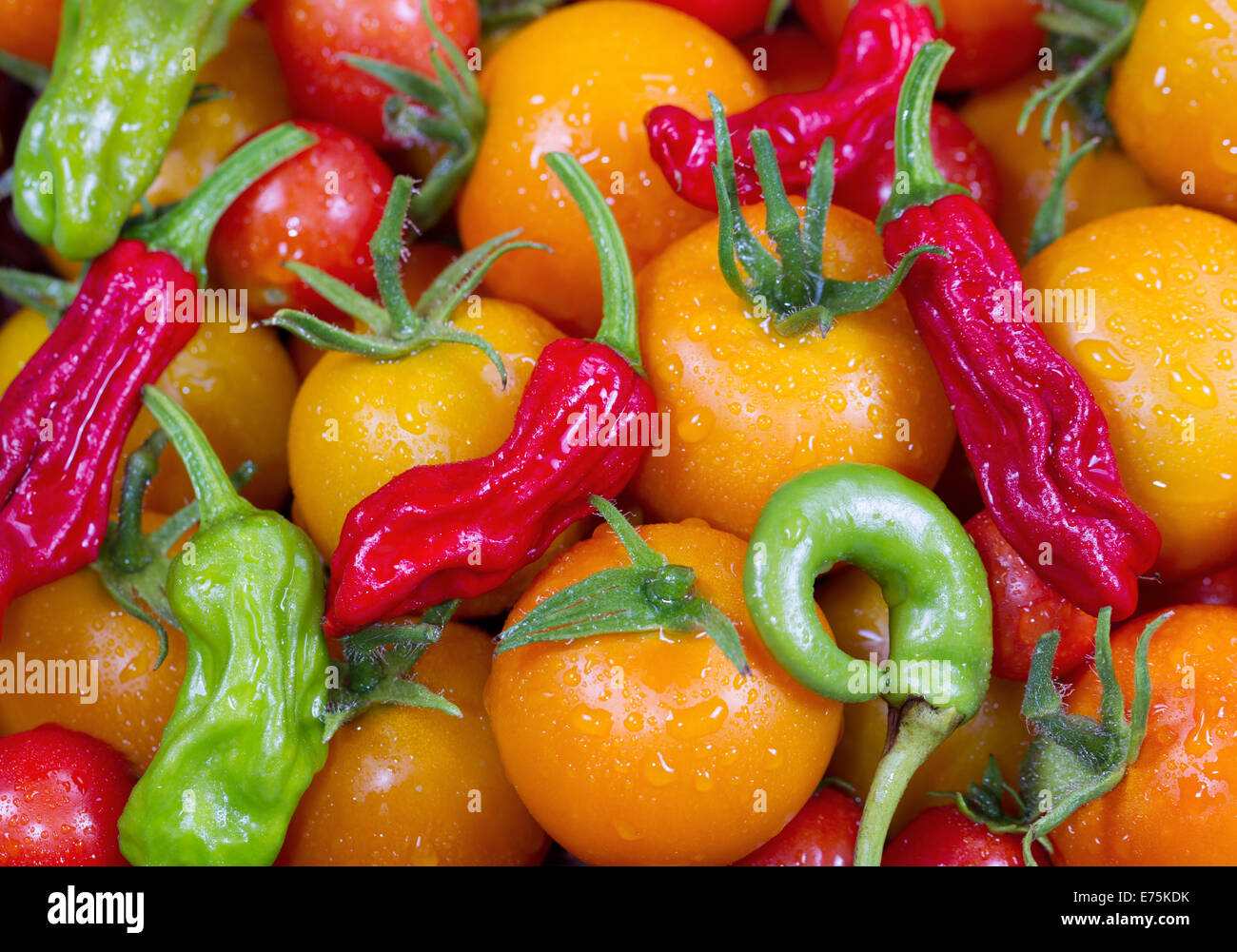 Mandarin cross tomato hi-res stock photography and images - Alamy
