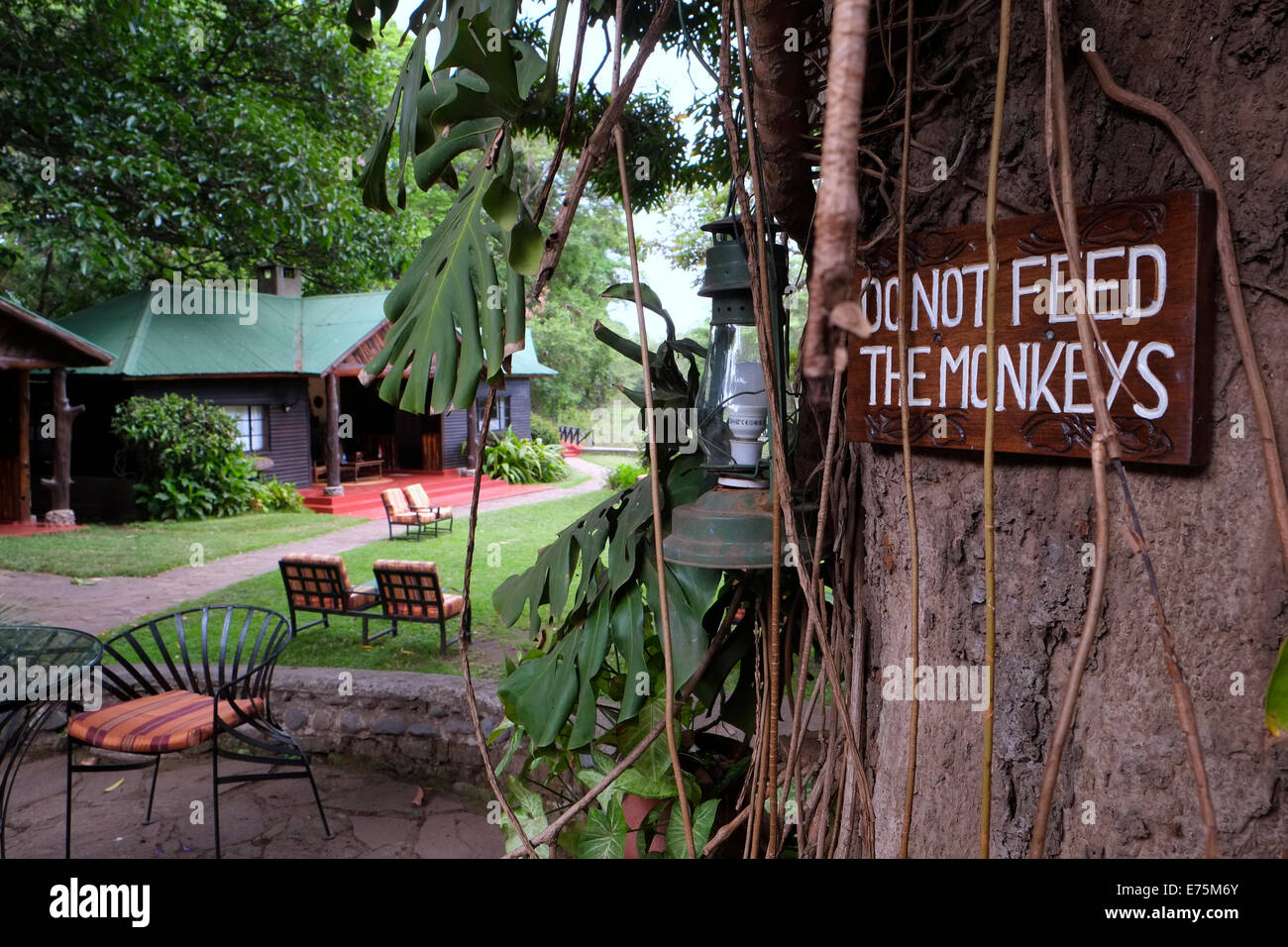 A sign which reads Do Not Feed the Monkeys place at the garden of Mount ...