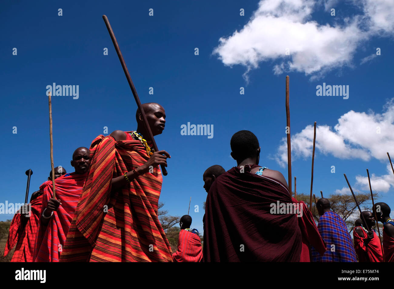 Maasai ritual march hi-res stock photography and images - Alamy