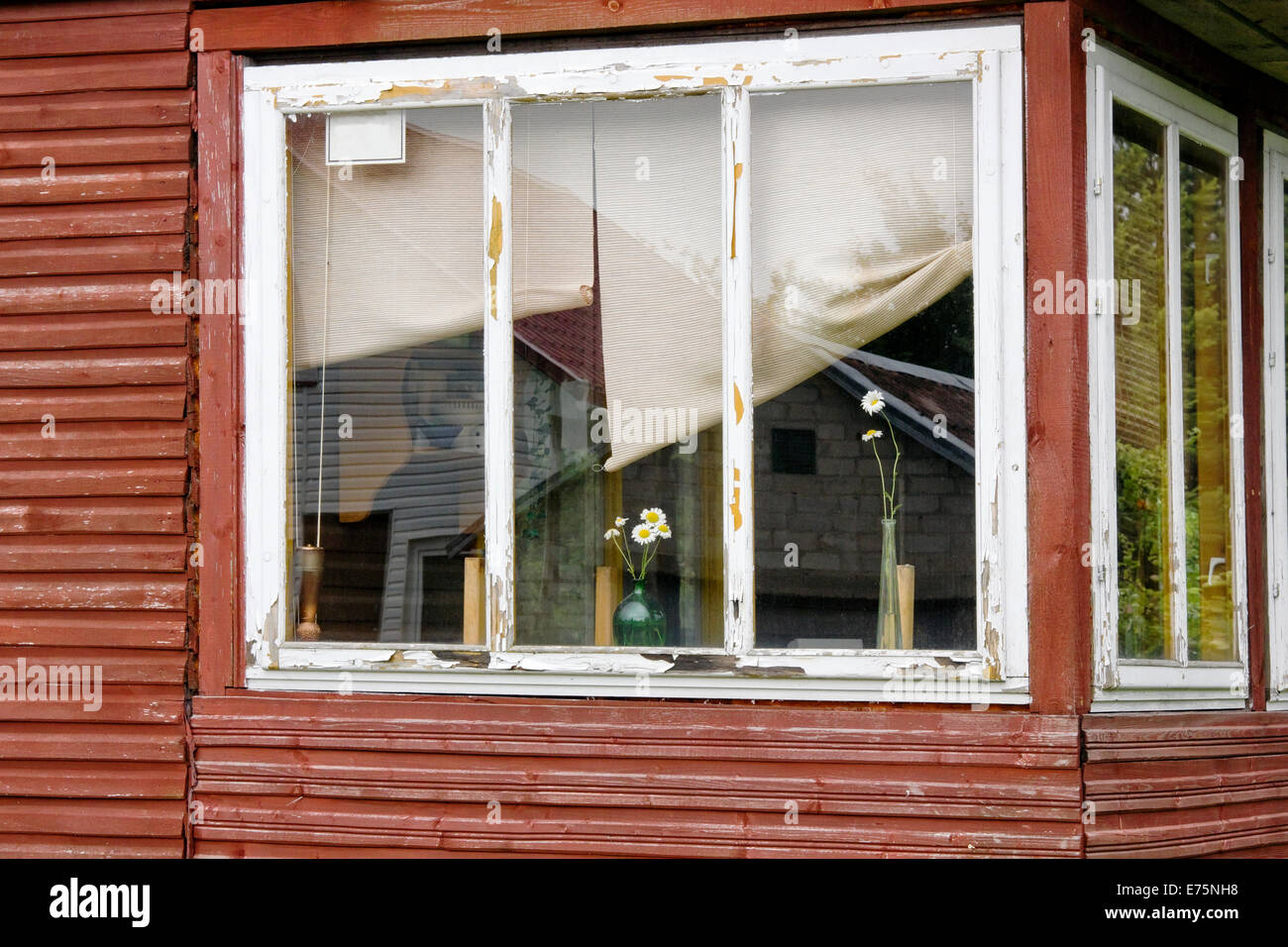 No name window of the poor rural house with daisies background Stock ...