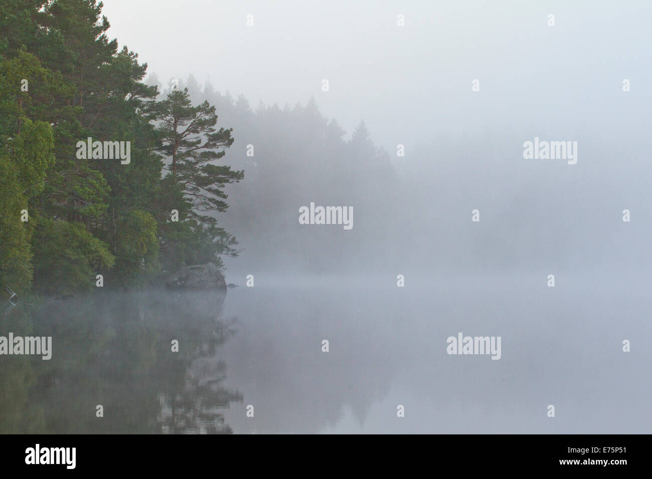 Loch garten rspb hi-res stock photography and images - Alamy