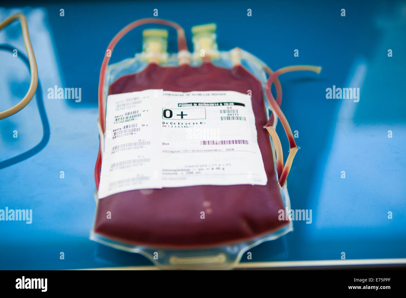 Blood type o positive hi-res stock photography and images - Alamy