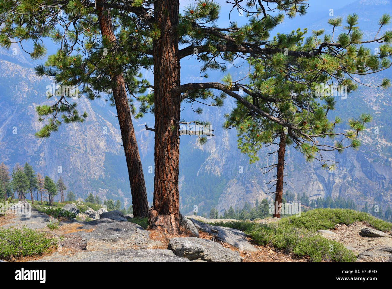 Washburn Point, Yosemite National Park, California Stock Photo - Alamy
