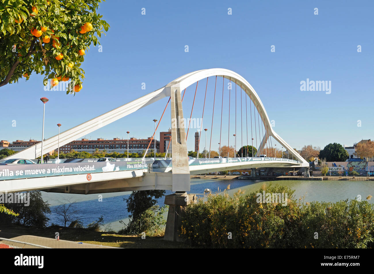 Puente de la Barqueta, bridge over the Guadalquivir river, Seville ...