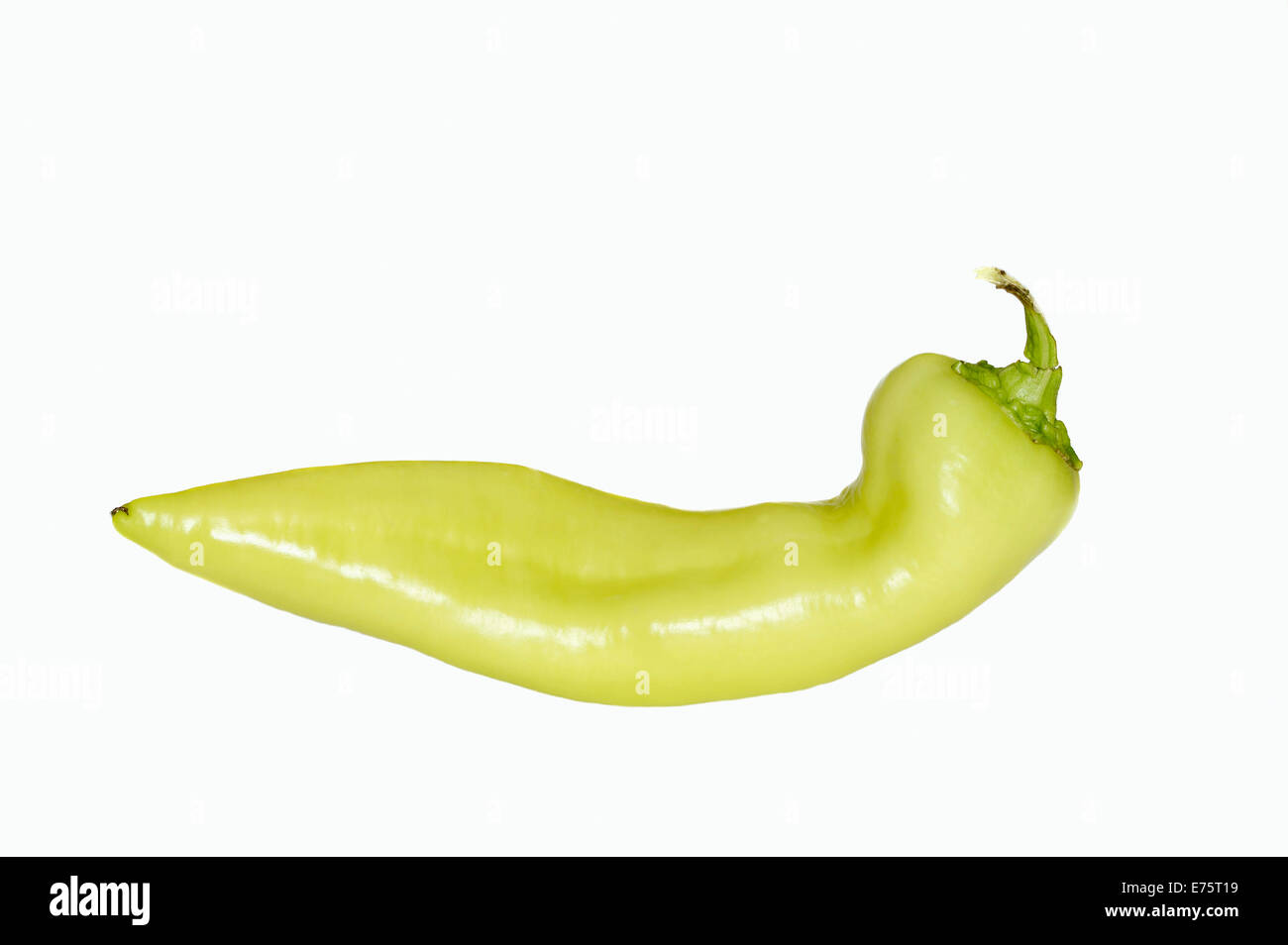 Green Bell Pepper (Capsicum annuum Stock Photo - Alamy