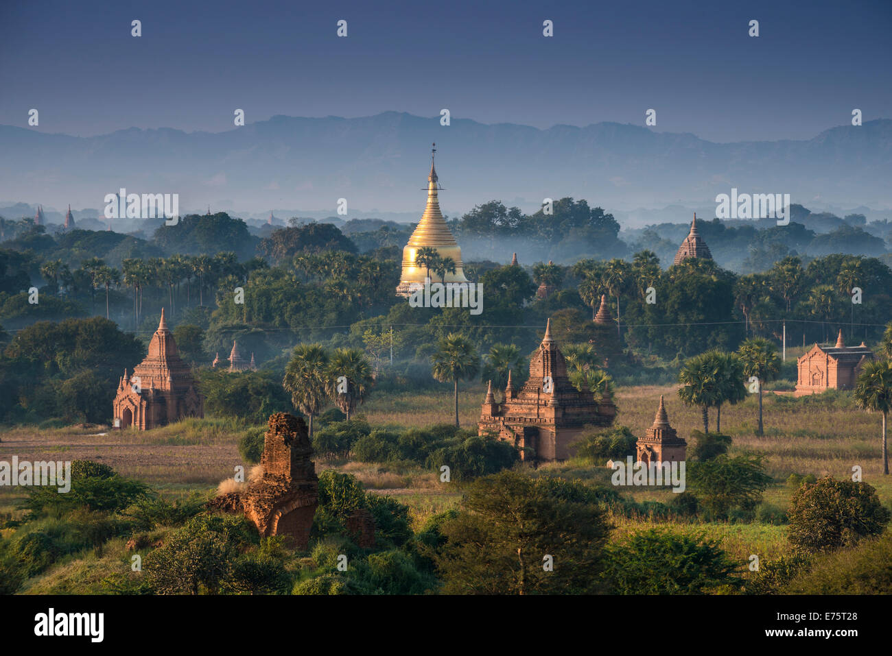 Temples, stupas and pagodas in the temple complex of the Plateau of ...