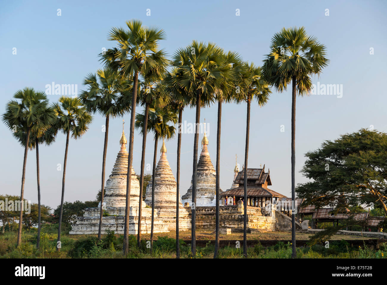 Temples, stupas and pagodas in the temple complex of the Plateau of ...
