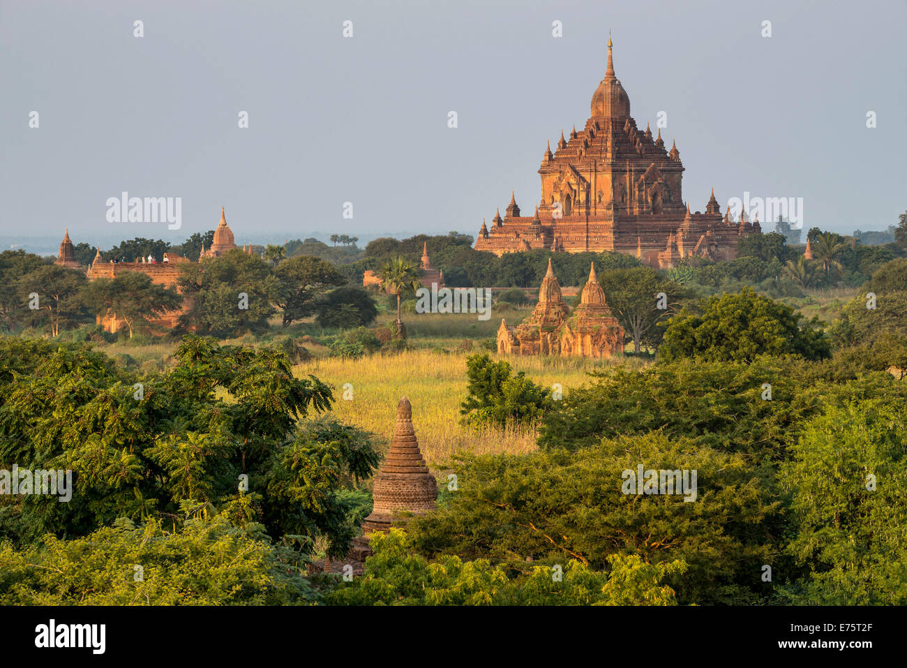 Temples, stupas and pagodas in the temple complex of the Plateau of ...