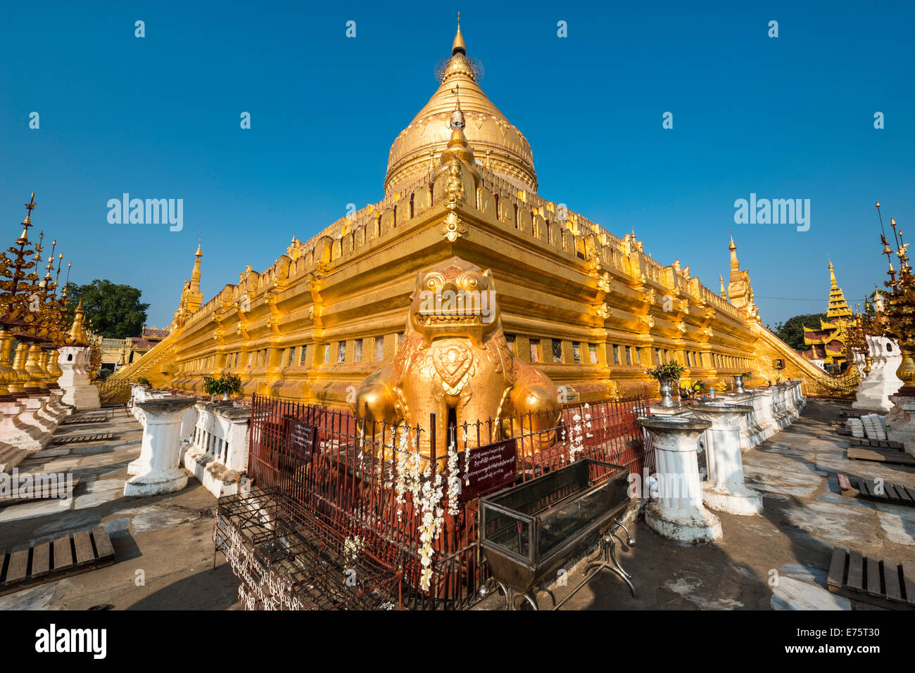 Golden lion or chinthe, golden chedi, Shwezigon Pagoda or Shwezigon ...