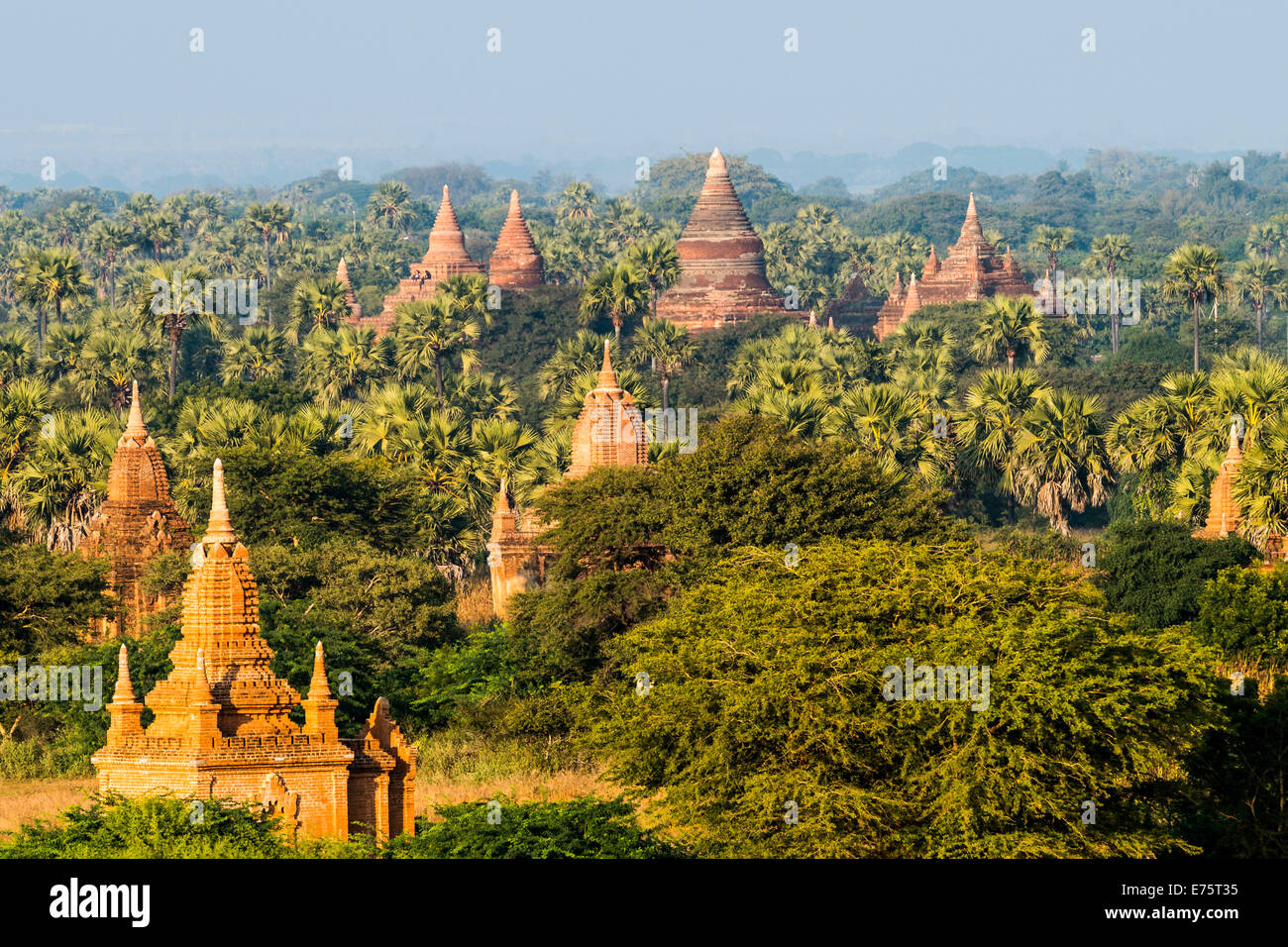 Temples, stupas and pagodas in the temple complex of the Plateau of ...