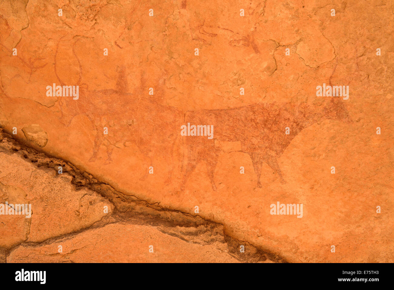 Neolithic art animal hi-res stock photography and images - Alamy
