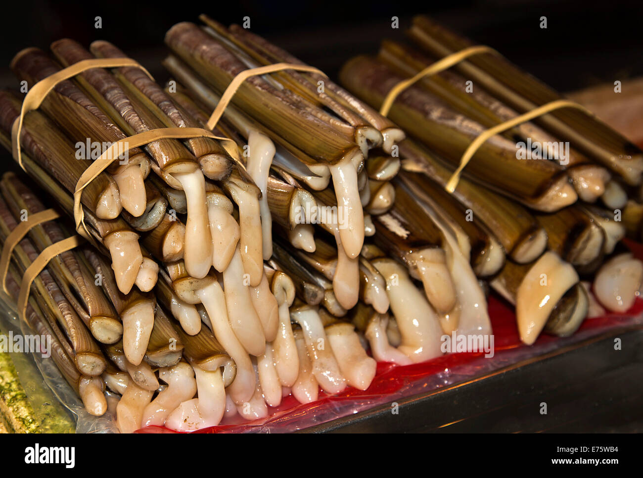 Razor clams china hi-res stock photography and images - Alamy