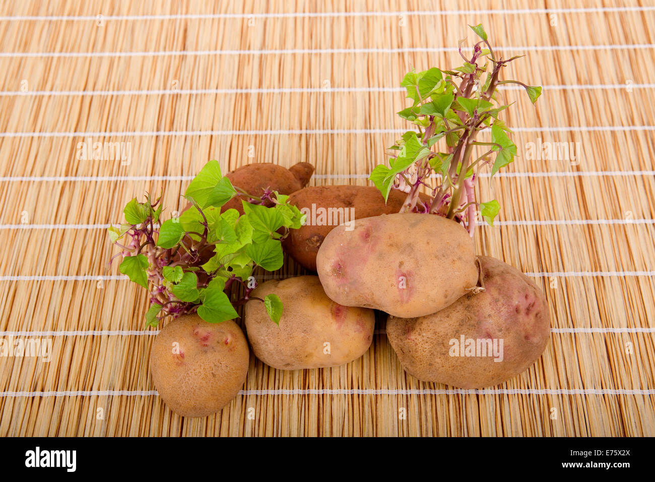 Potatoes sprouting in the kitchen table Stock Photo - Alamy