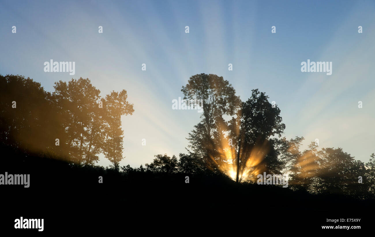 Sunrise with trees hi-res stock photography and images - Alamy