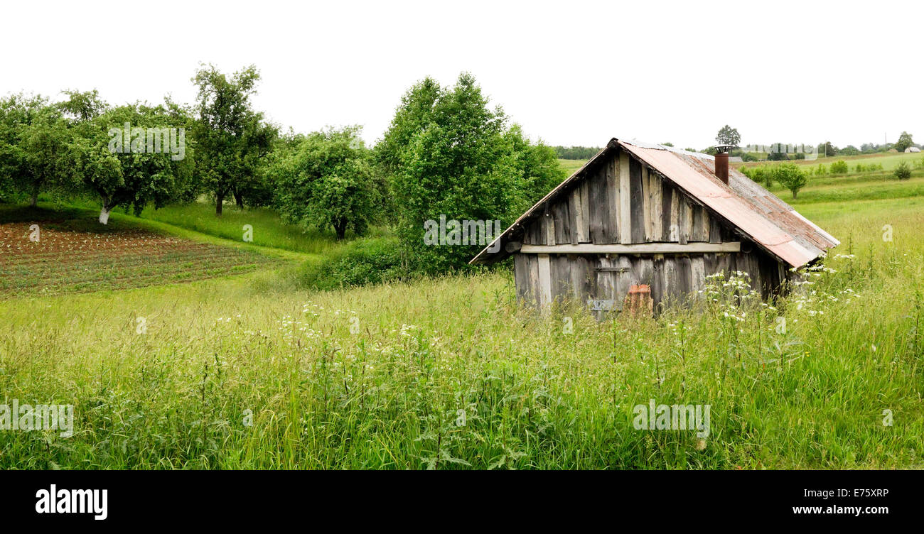 Rural summer landscape of poor Northern Europe isolated panorama ...
