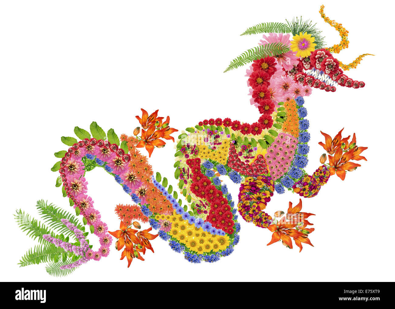 The red fiery Chinese dragon is made from fresh summer flowers ...