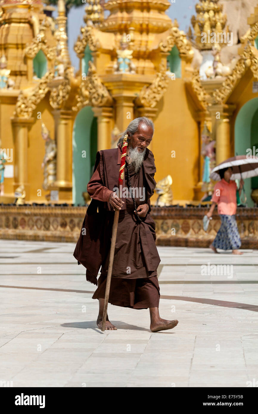 Pilgrim, Buddhist monk circling the Shwedagon Pagoda during meditation ...
