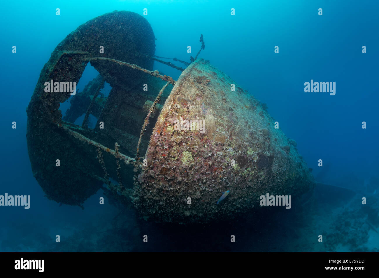 Ss thistlegorm hi-res stock photography and images - Alamy