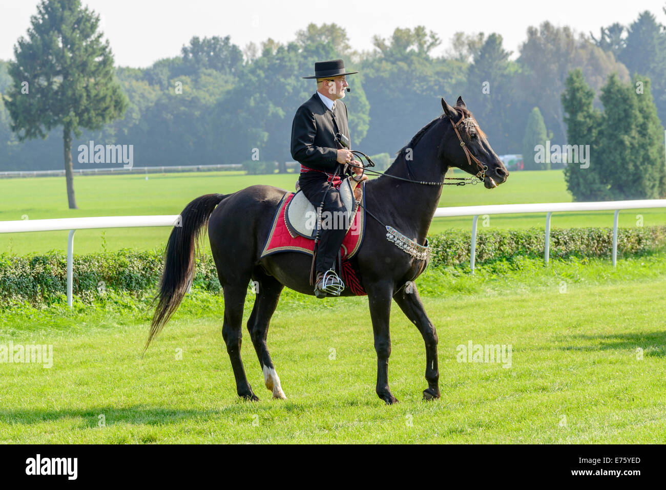 Race star track hi-res stock photography and images - Alamy
