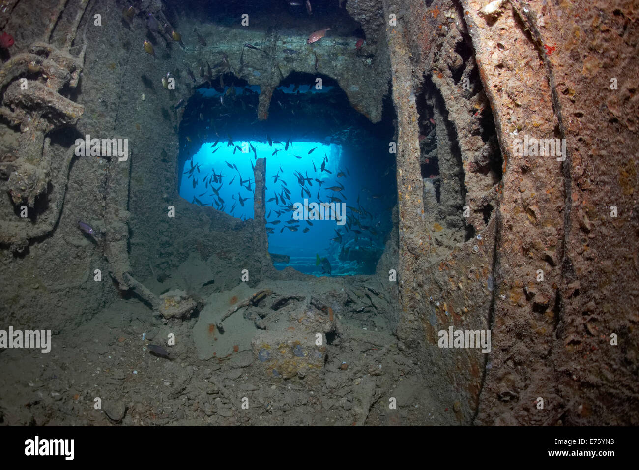 Vanikoro hi-res stock photography and images - Alamy