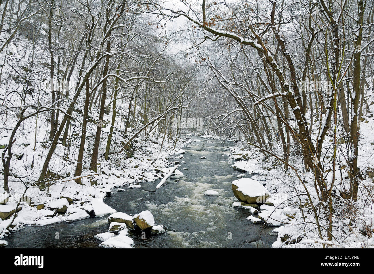 Snow landscape in the Bodetal Nature Reserve with the Bode River, Harz ...