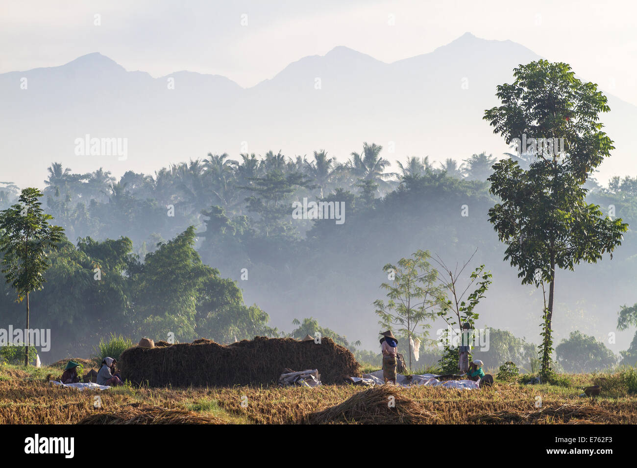 Landscape of Sri Lanka Stock Photo - Alamy