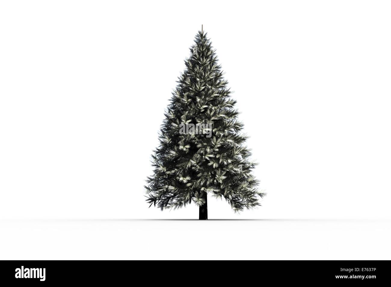 Snowy christmas fir tree Cut Out Stock Images & Pictures - Alamy