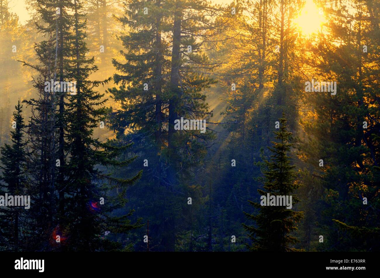 Bright day morning sun shining hi-res stock photography and images - Alamy